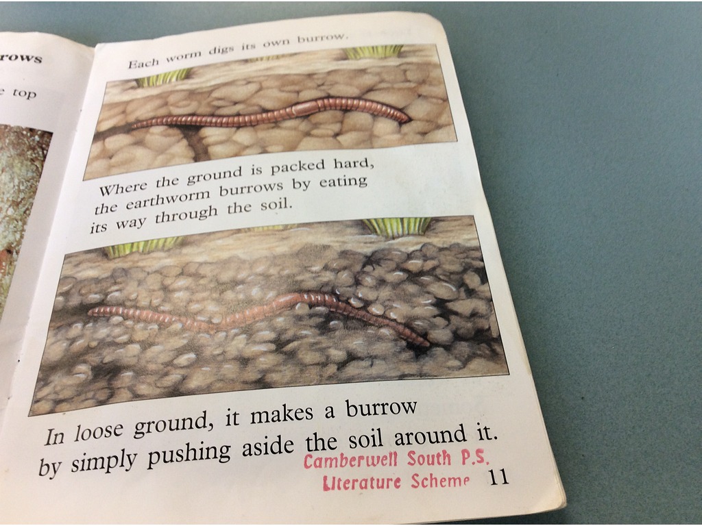 Fif | english | ShowMe