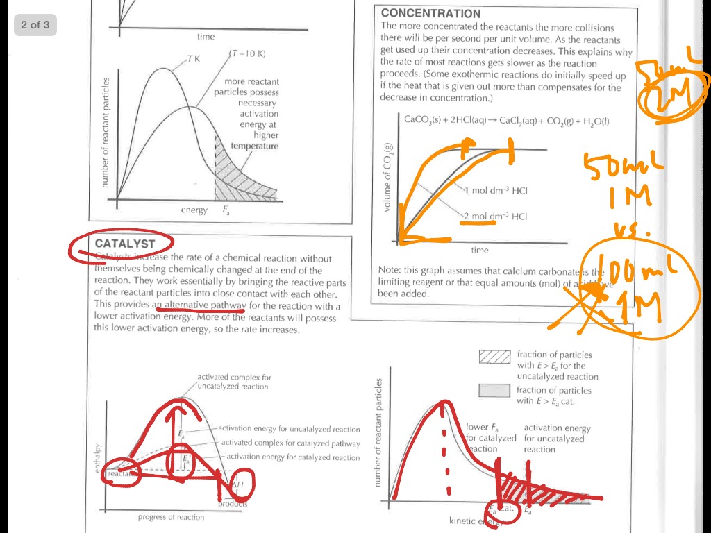Kinetics ib study guide | Science, Chemistry | ShowMe