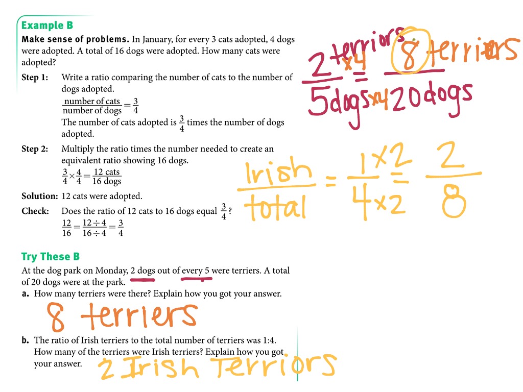 Course 1, Lesson 17-1 | Math | ShowMe