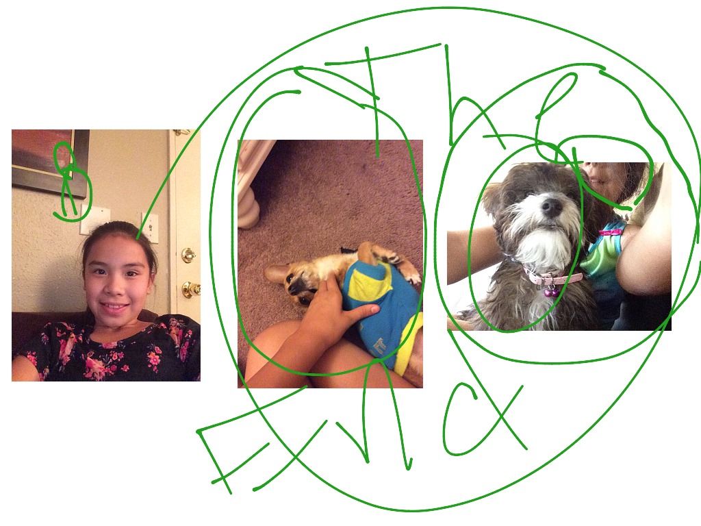 Kmmn | english | ShowMe