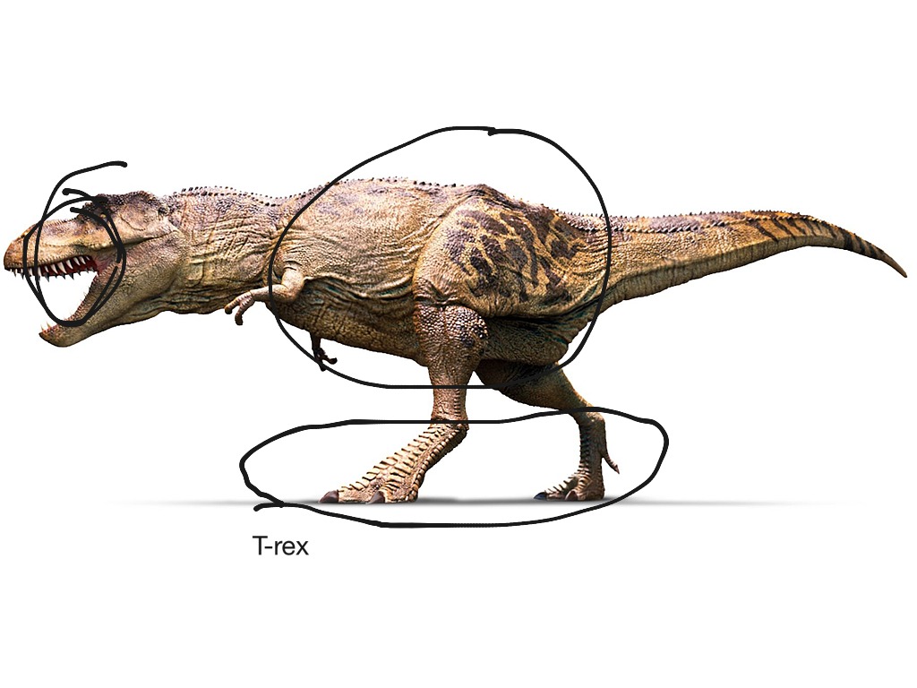 Angry t-rex | Science | ShowMe