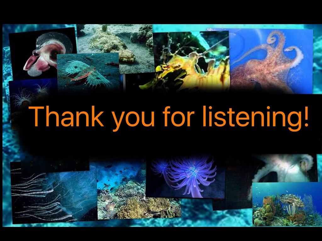 The deep sea! | Science, Biology, Earth-science, Environment | ShowMe