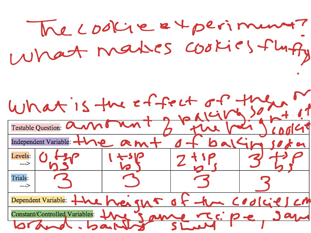 How to complete an IDD | Science | ShowMe