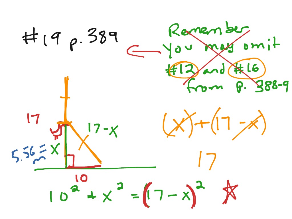 Woody woodpecker | Math | ShowMe