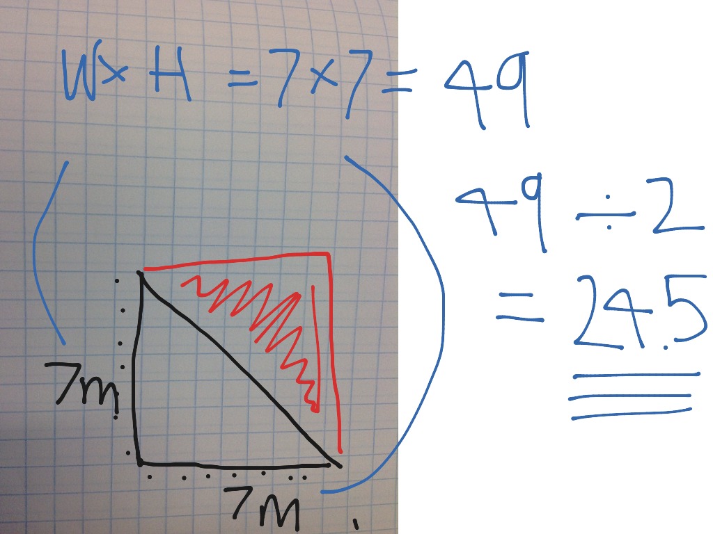 How to find the area of a triangle | Math | ShowMe