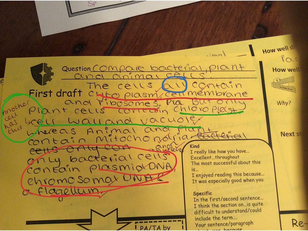 Example compare cells 6 marker | Science | ShowMe