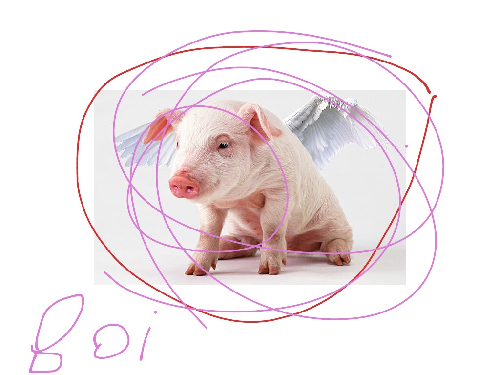 Boi | Funny Things, Funny Lolz, Art | ShowMe