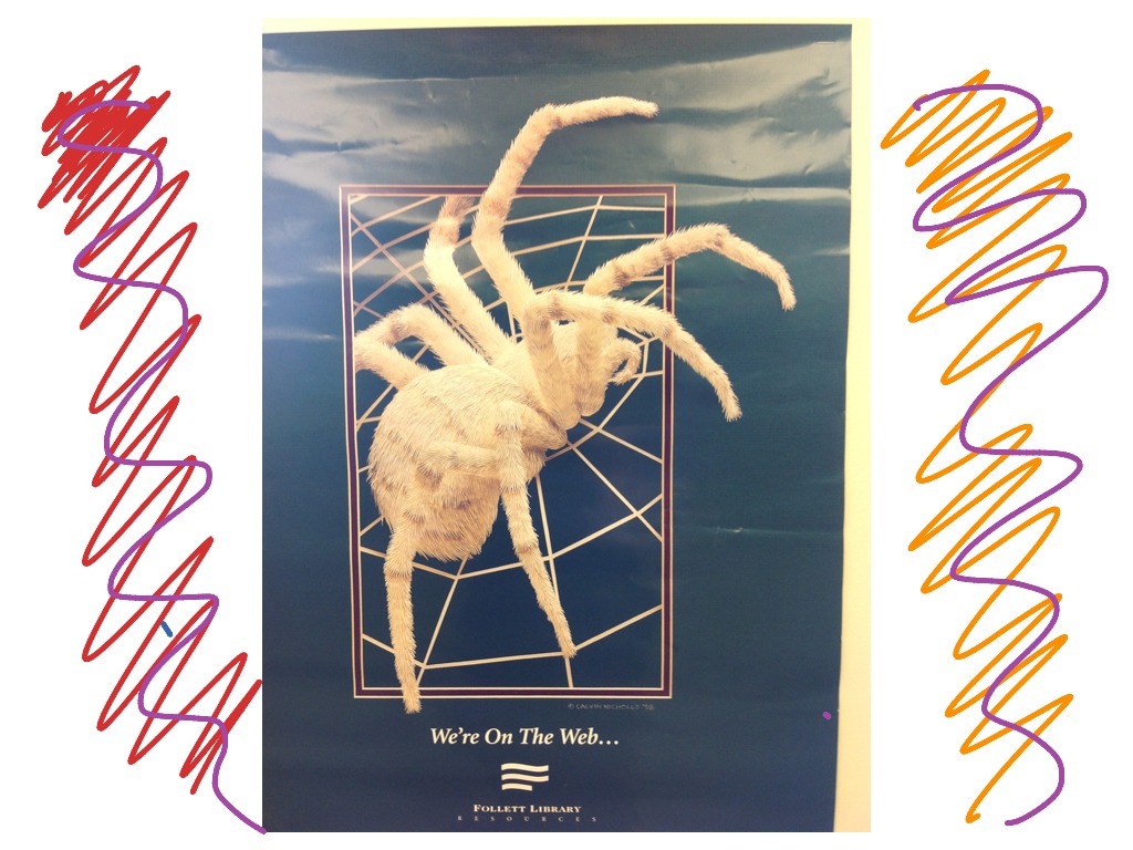 Spider | Science | ShowMe