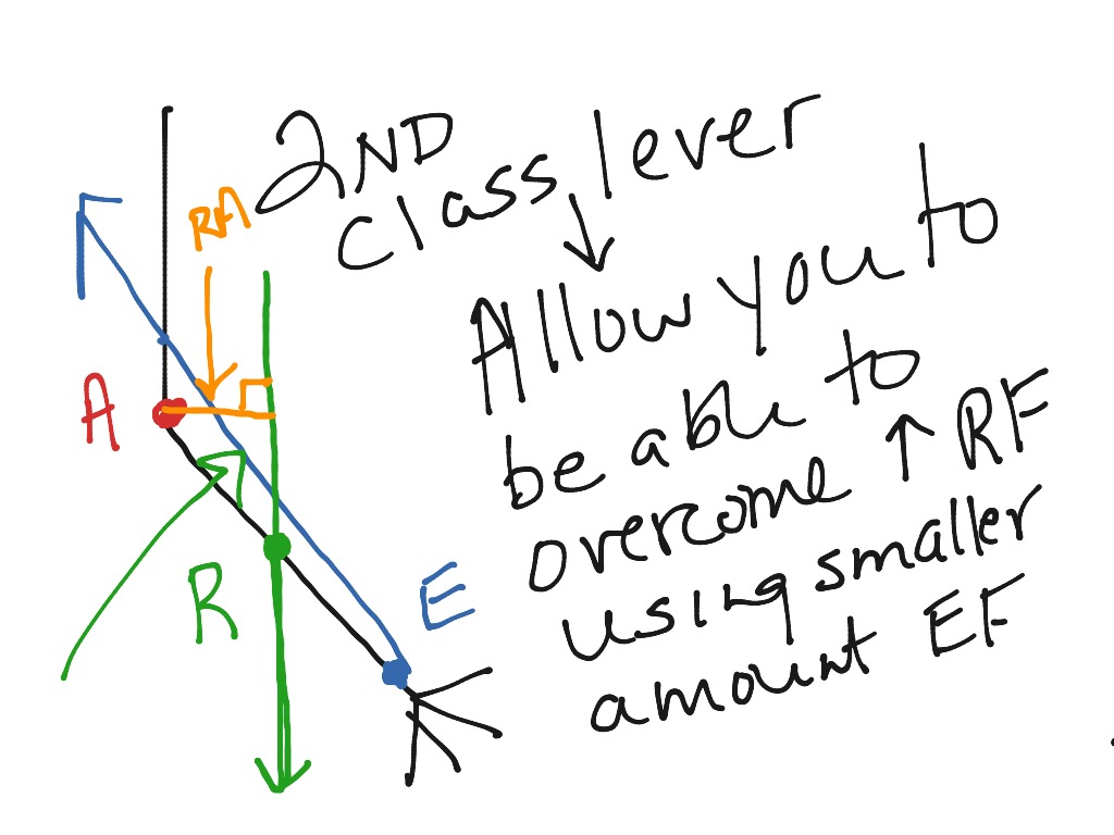 Lever diagrams #2 | Science | ShowMe