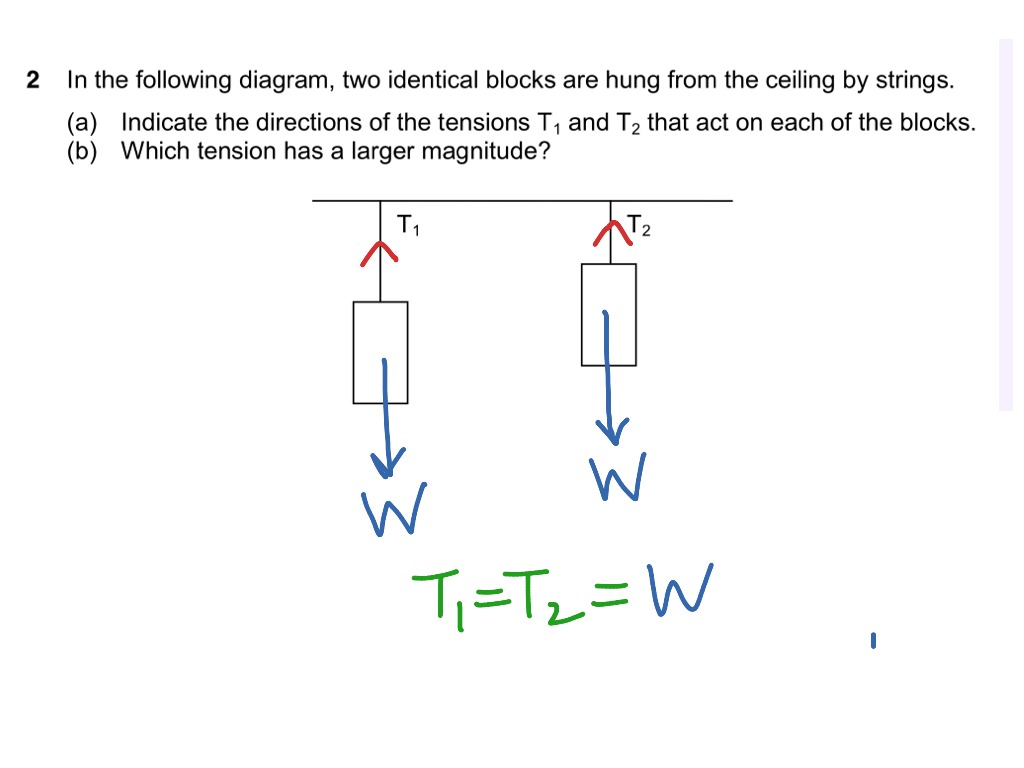 Mass hanging from ceiling | Science | ShowMe