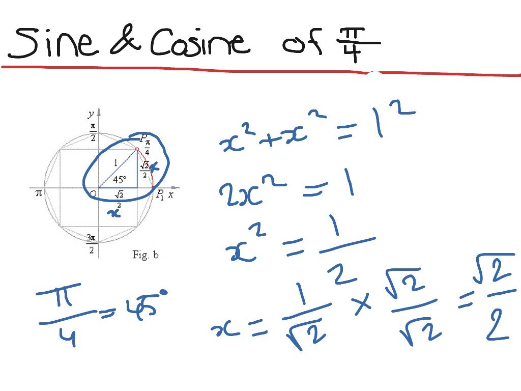 Task B2 | Math | ShowMe