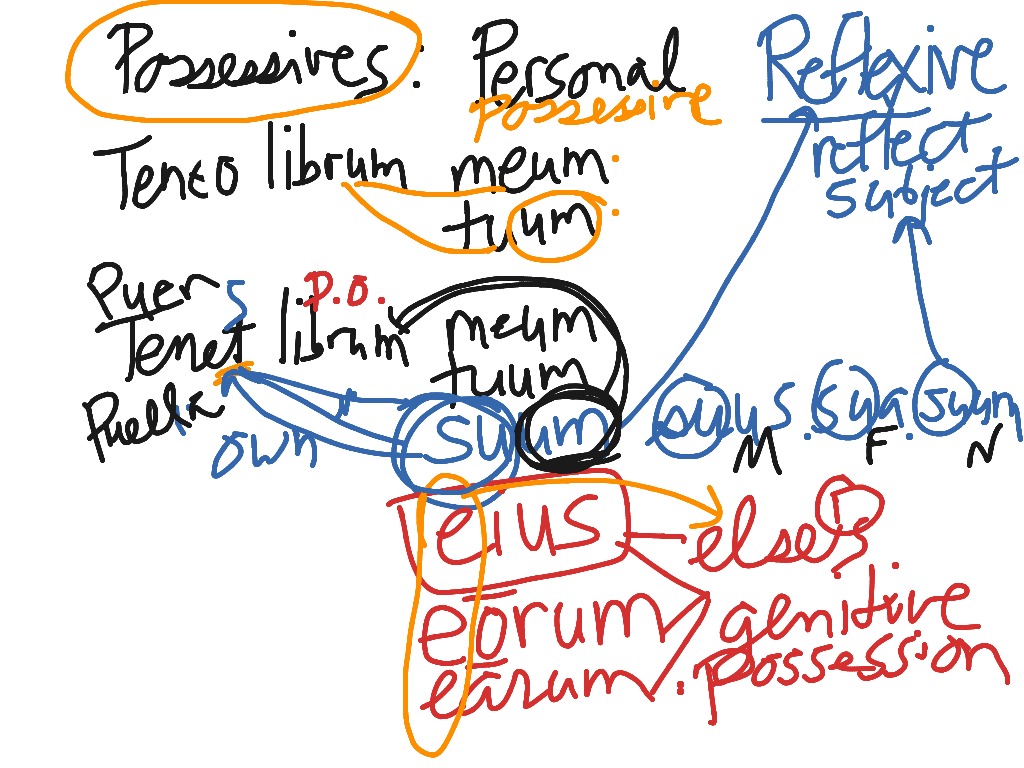 Eius vs. suus | latin, Language, Latin Grammar | ShowMe