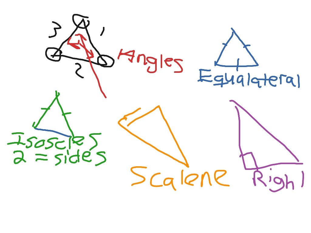 Triangle intro | Math | ShowMe