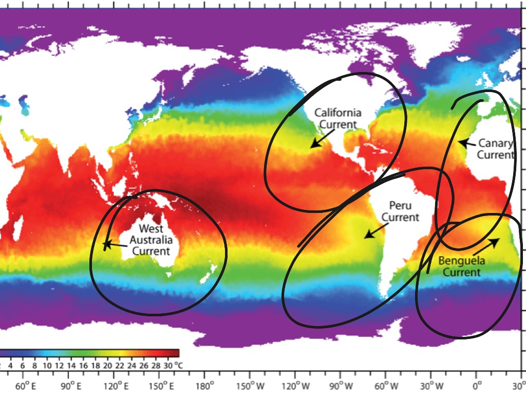 Currents | Science | ShowMe