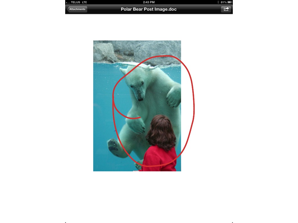 Ella | Language | ShowMe