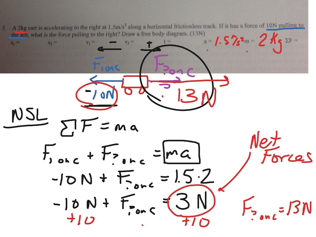 NSL Multiple Forces #3 | Science | ShowMe