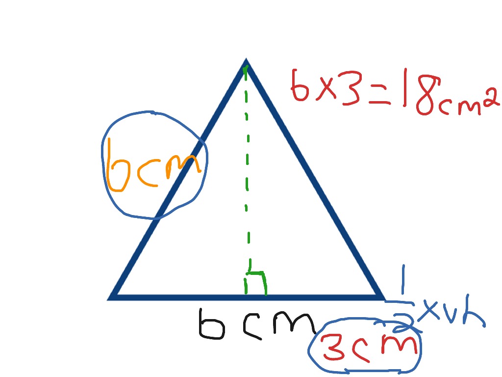 Area of a triangle | Math | ShowMe