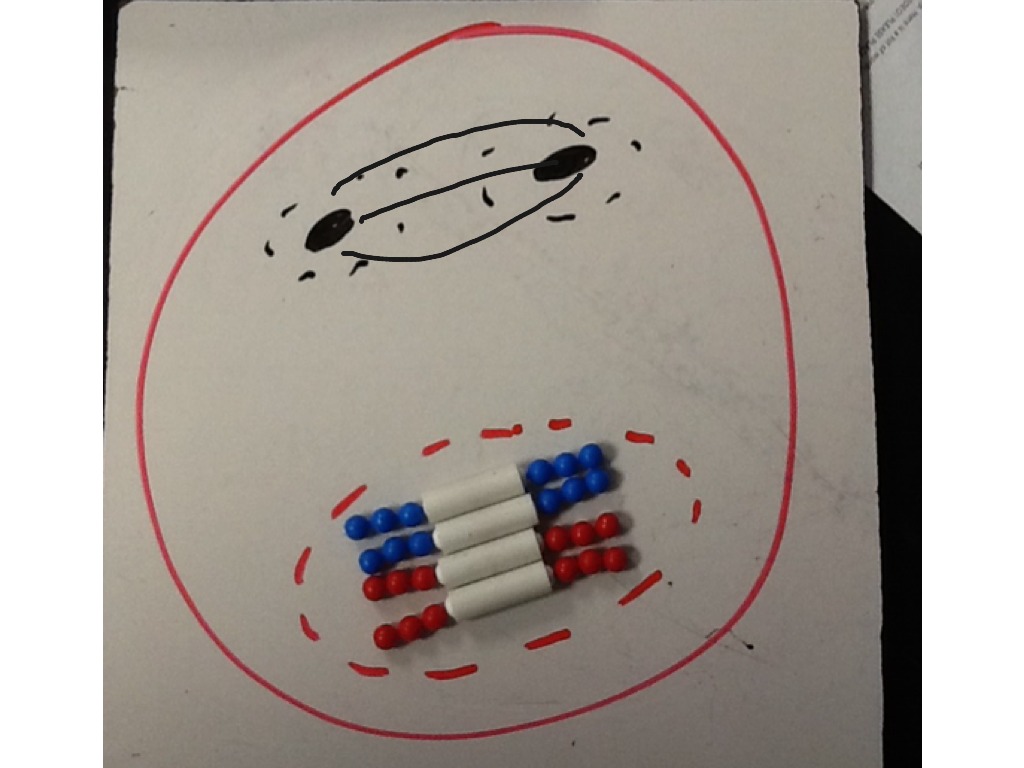 Poop | Science | ShowMe