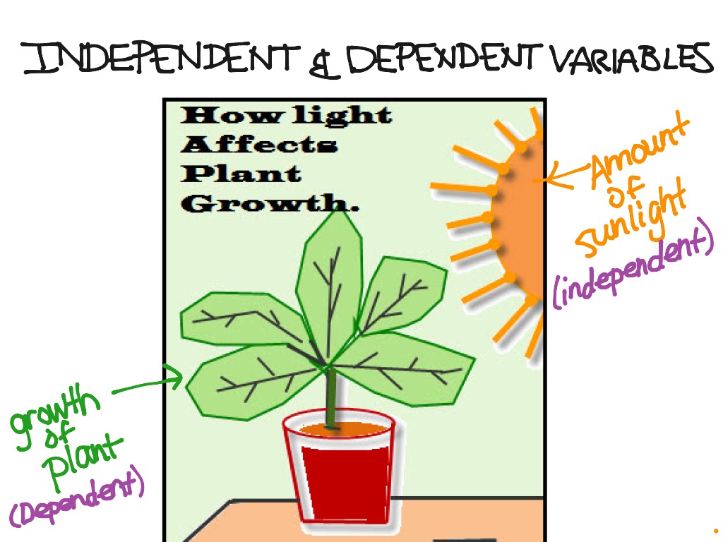 Independent dependent Variables Math ShowMe