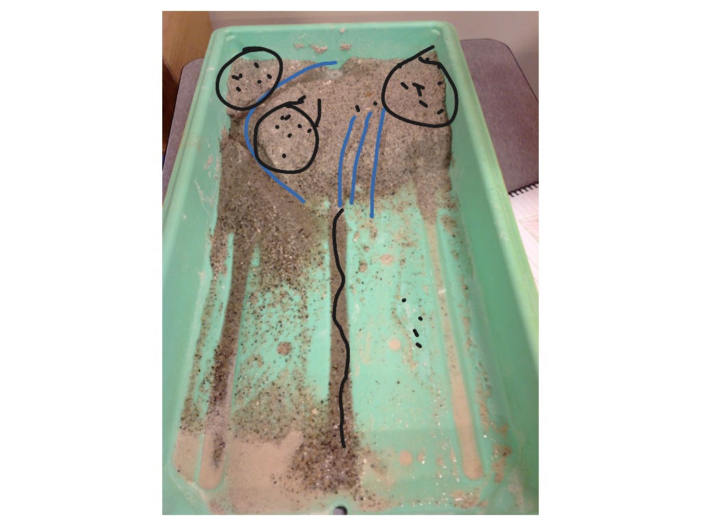 Stream table | Science | ShowMe