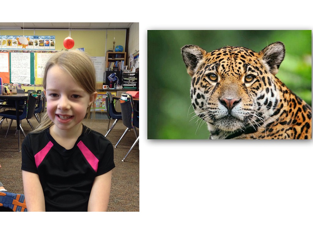 Lydia | Science | ShowMe