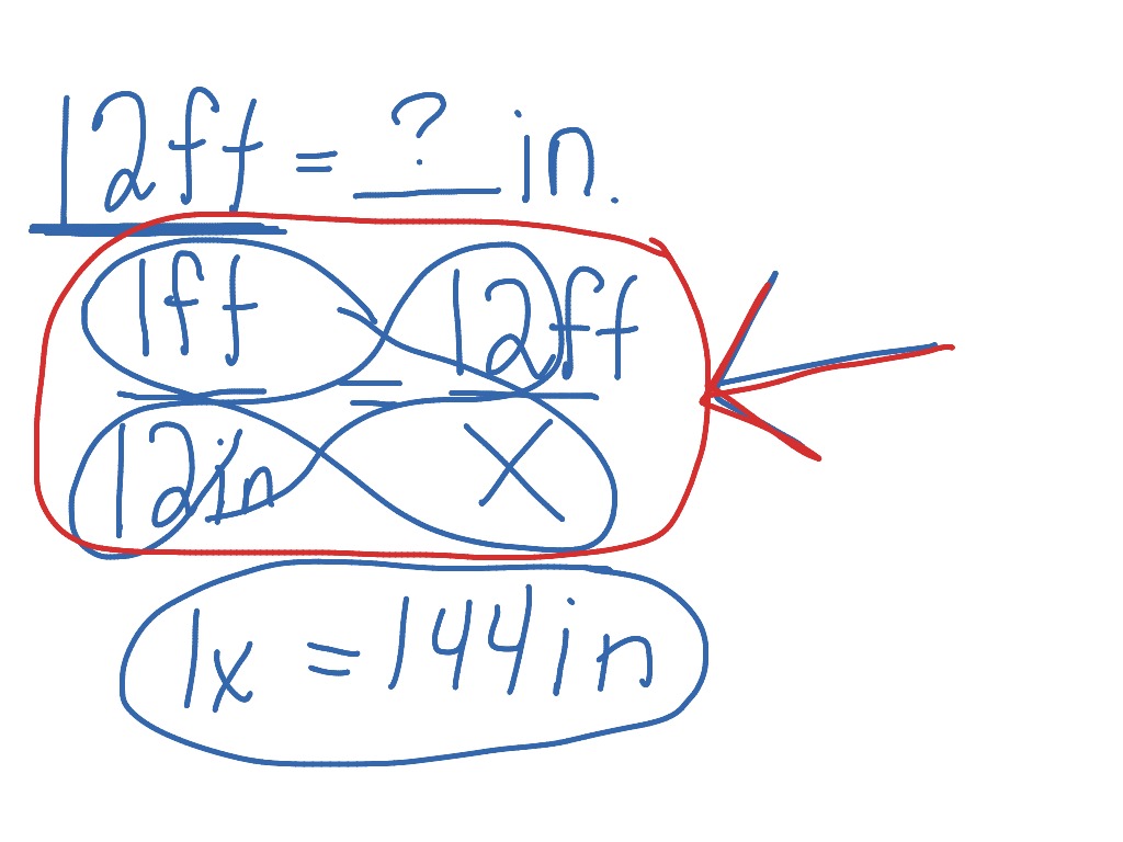 Small Group Proportions Lesson | Math | ShowMe