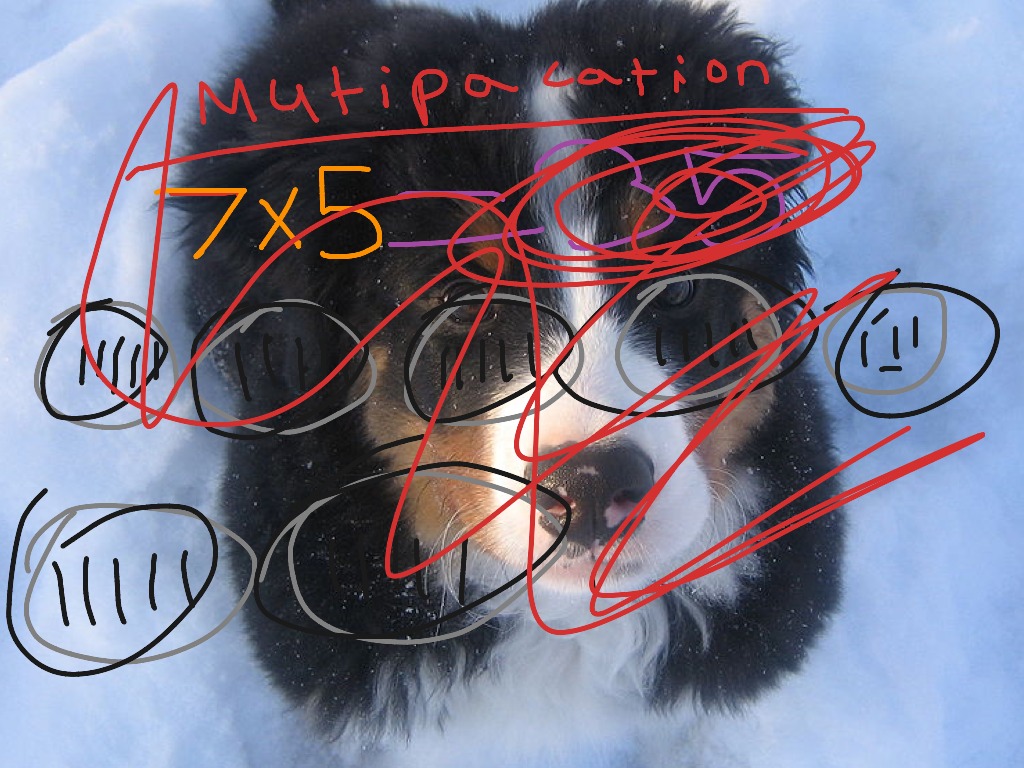 Cute math | Math | ShowMe