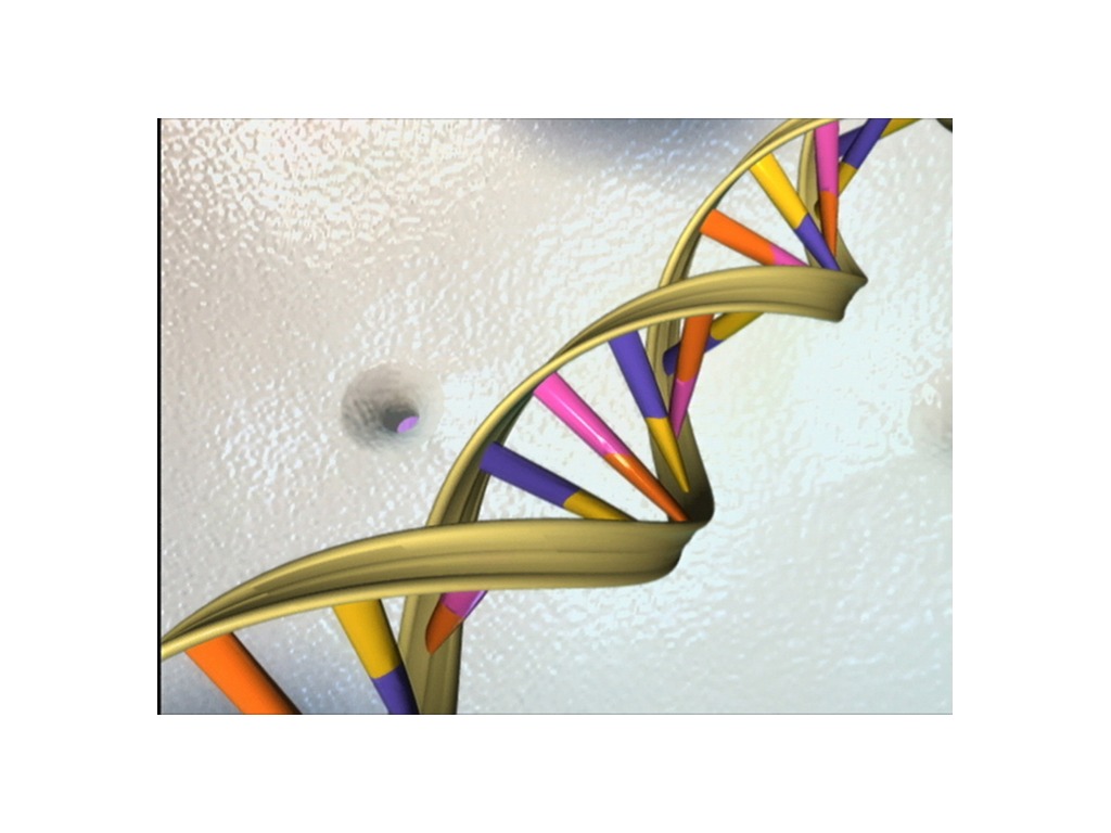 Double helix | Science | ShowMe