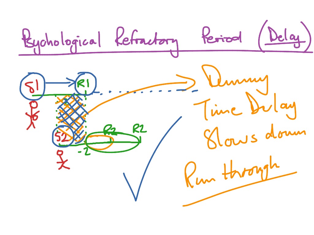 Reaction, movement, response time, PRP | Physical Education | ShowMe