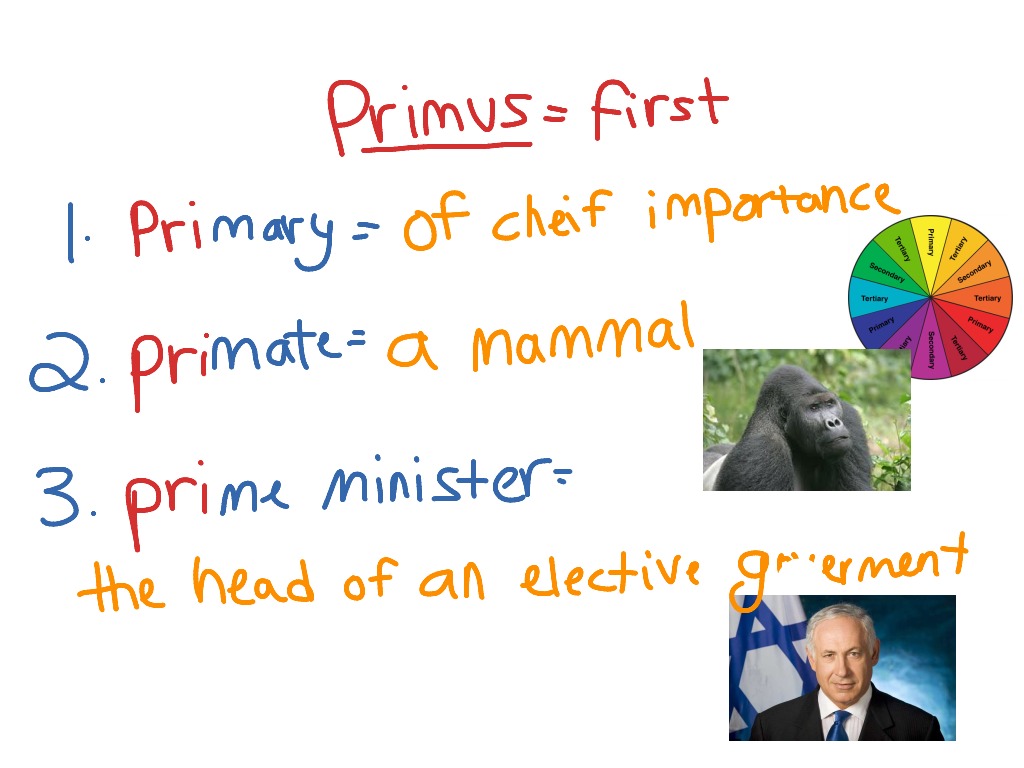 Primus- first | english | ShowMe