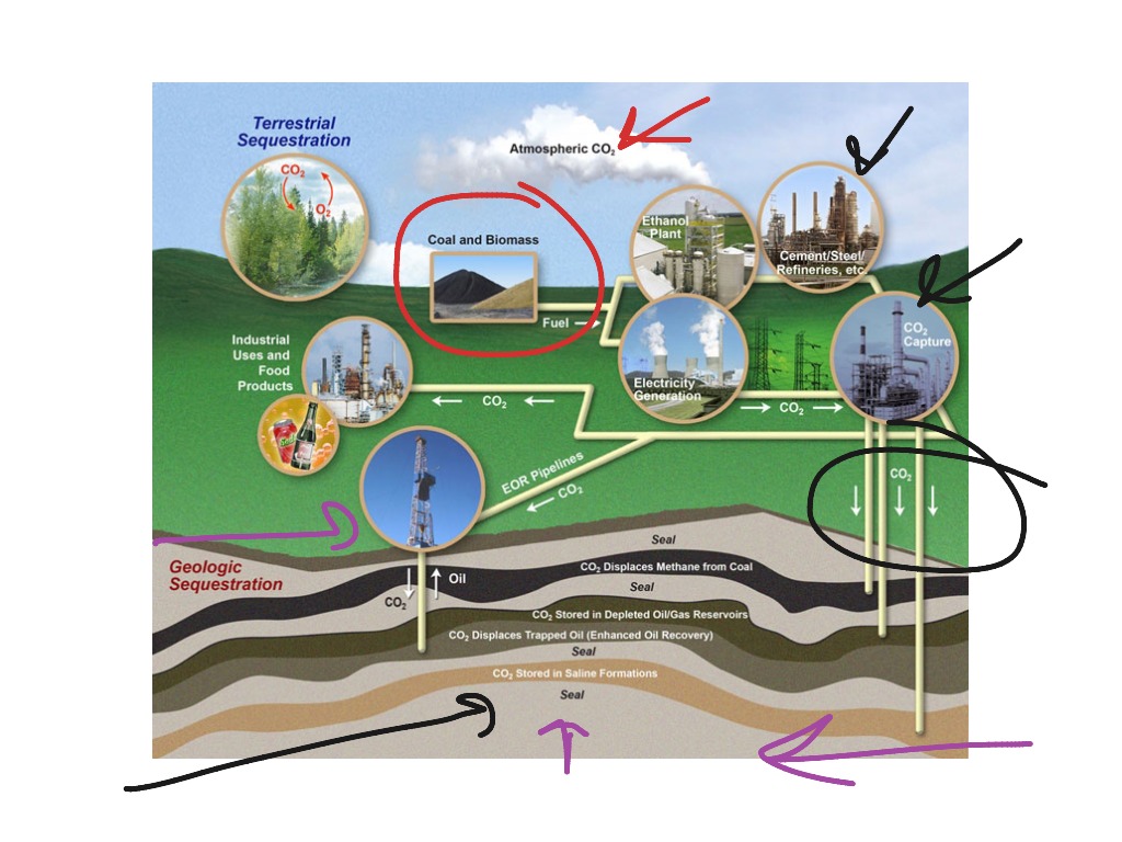 co2 | Science | ShowMe