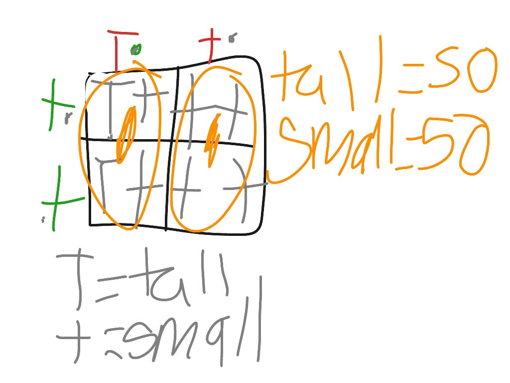 Punnett square | Science, Reproduction | ShowMe