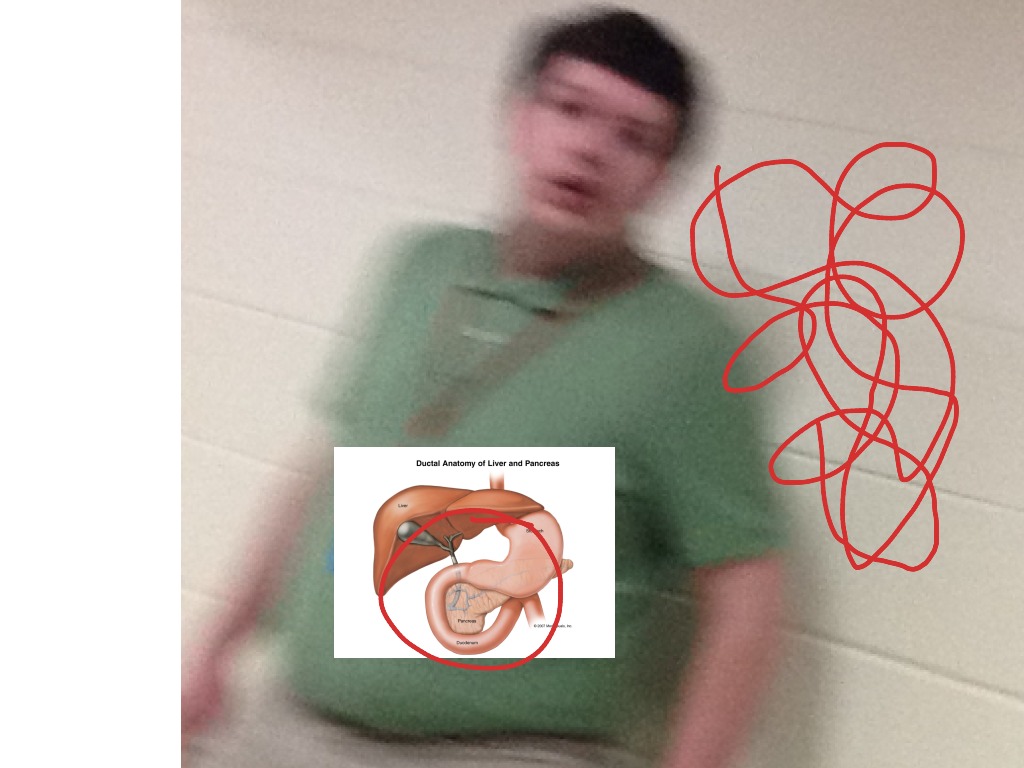 Jake proctor | Jake | ShowMe