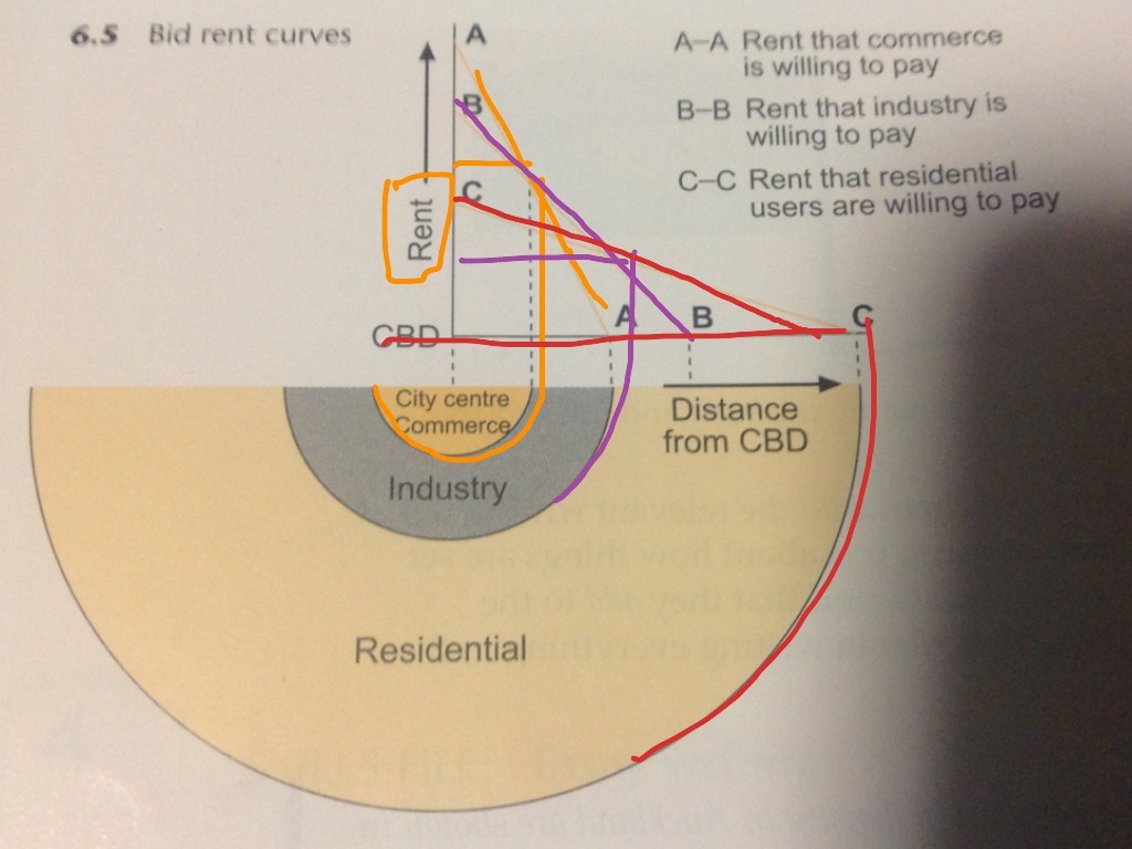 Bid rent curves | Language | ShowMe