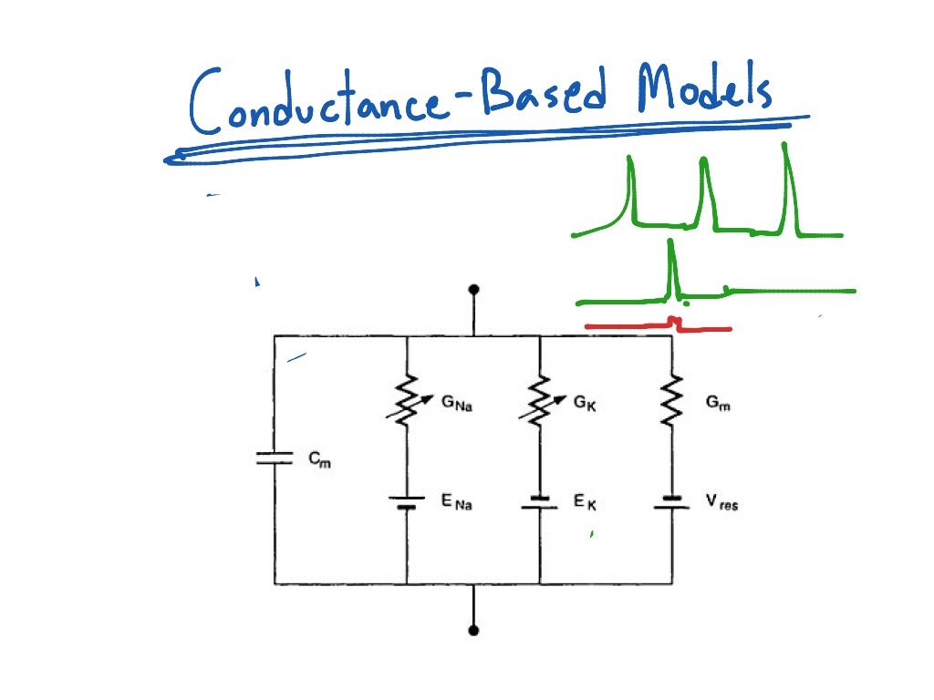 Intro to Conductance-Based Models | Science | ShowMe