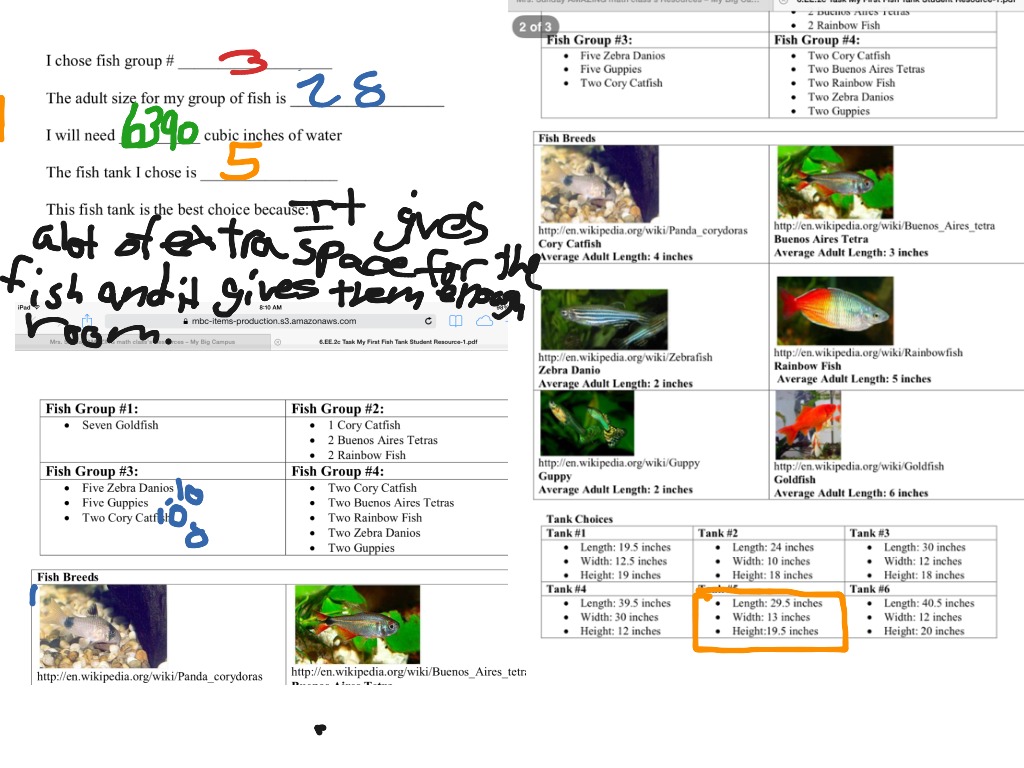 Zack Fish tank | Math | ShowMe