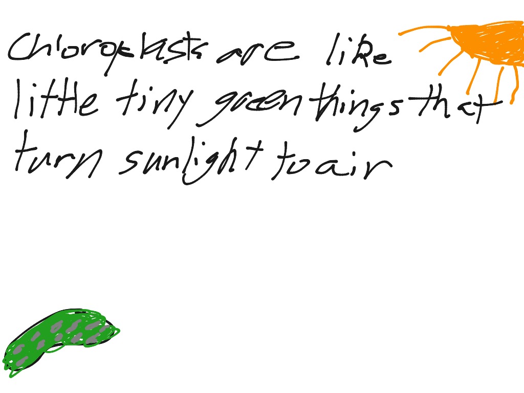 Cell poem | Science, Biology, Plants | ShowMe