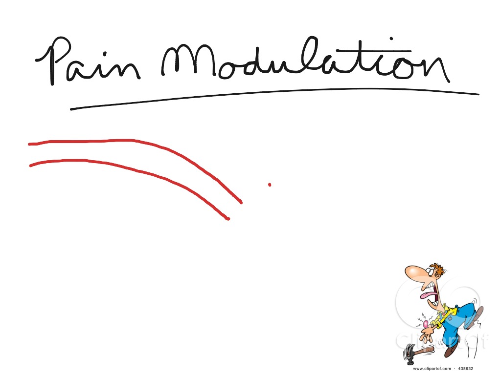 Pain modulation | Science | ShowMe