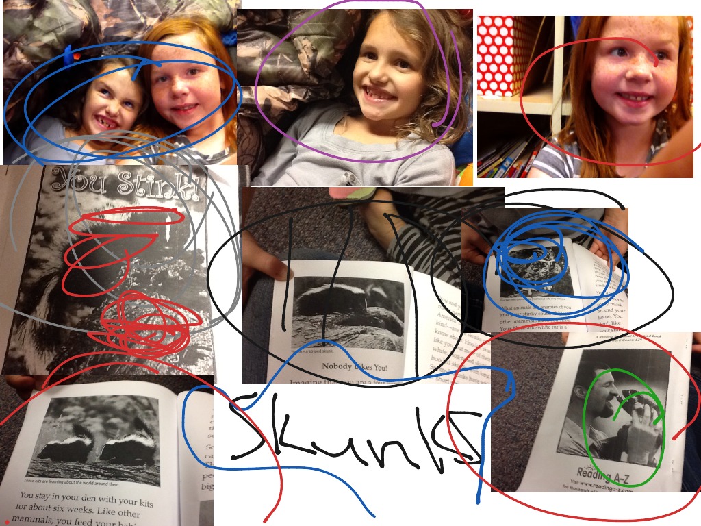 Great wolf loge | Science | ShowMe