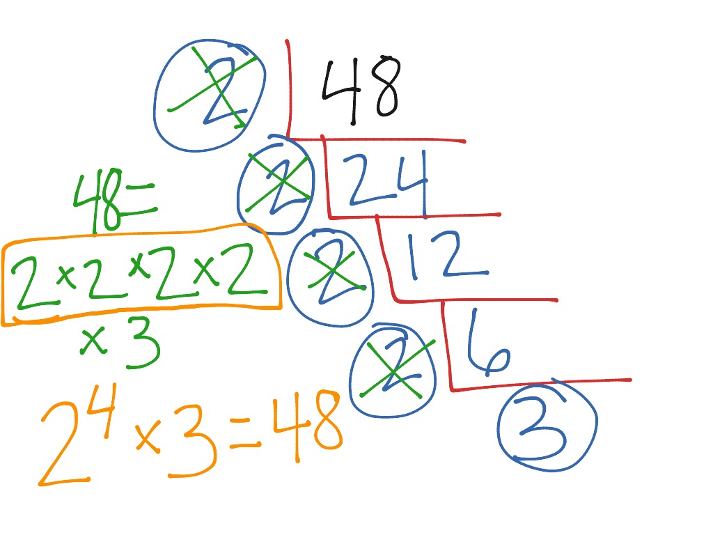 Prime Factorization: Upside-Down Division | Math, Arithmetic ...