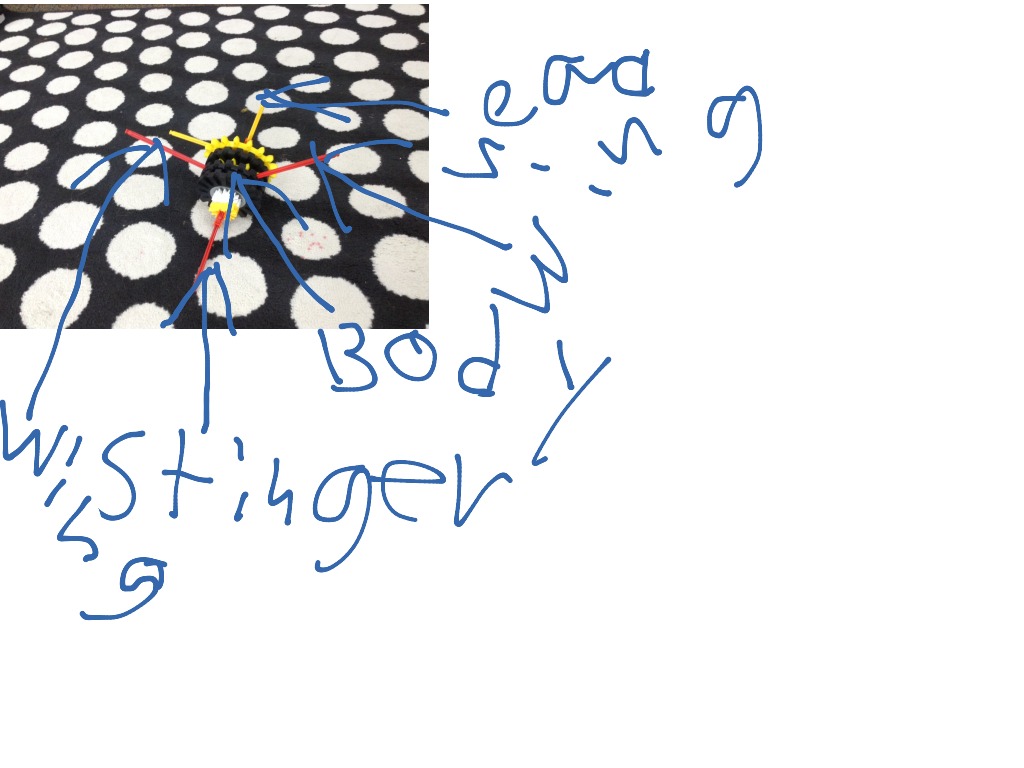 Ashley | Science, Chemistry, Elements | ShowMe