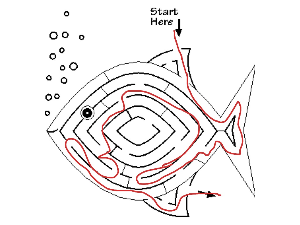 Fish Maze | ShowMe