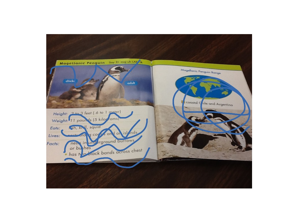 Grace | Science | ShowMe