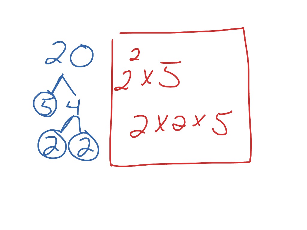 Prime factorization of 20 | ShowMe