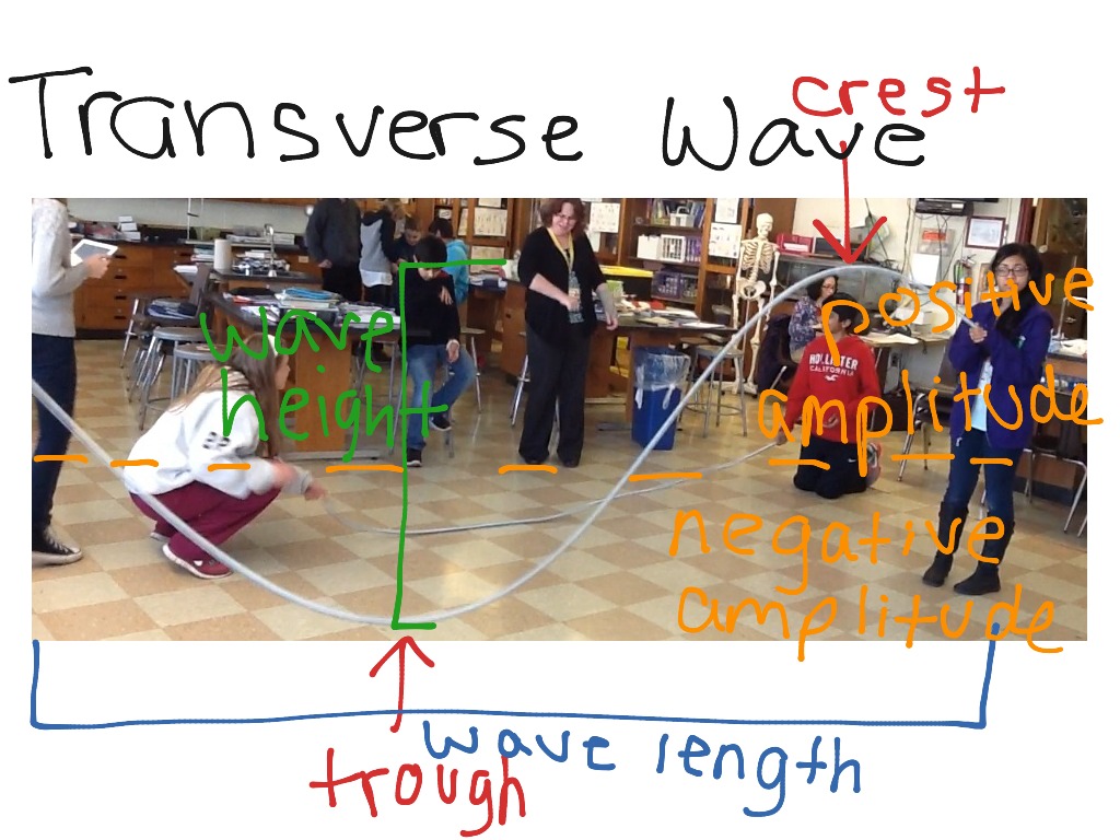 Thai Van, Anjali, Sanjana, and Gabby's transverse wave | Science ...