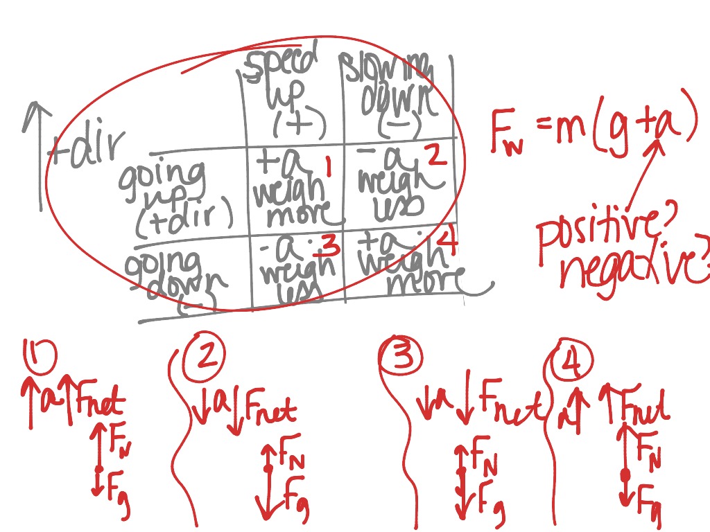 Apparent Weight | Science, Physics, Dynamics | ShowMe