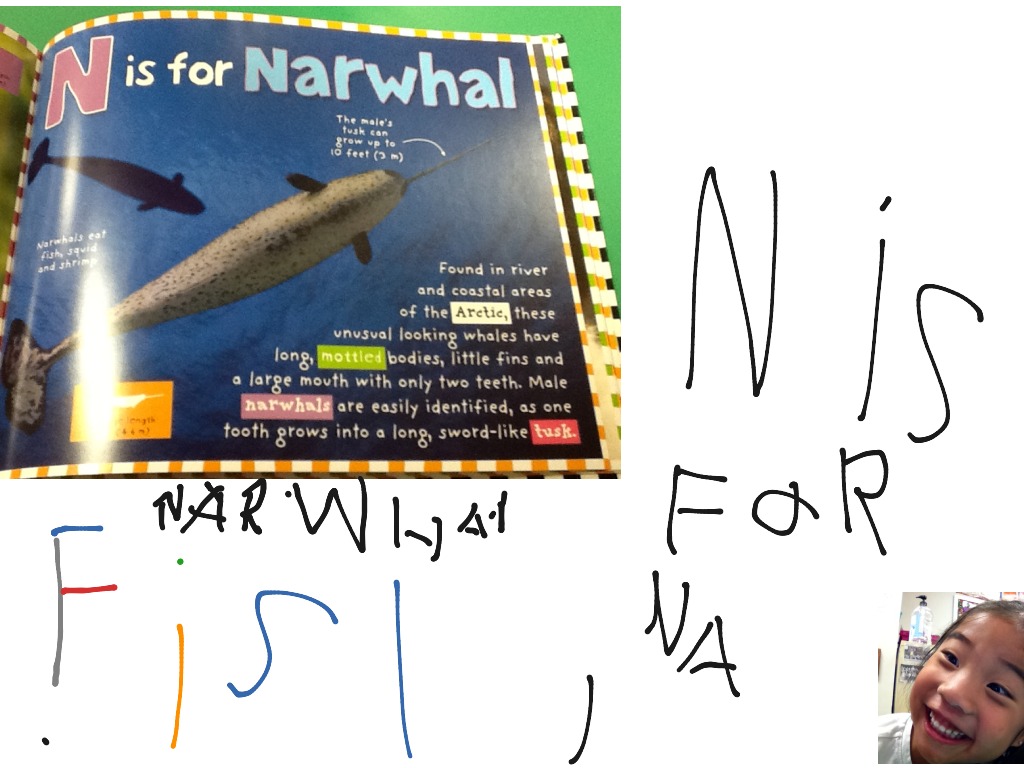 Narwhal ally | Language | ShowMe